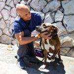 Project Street Vet – Dr.Kwane